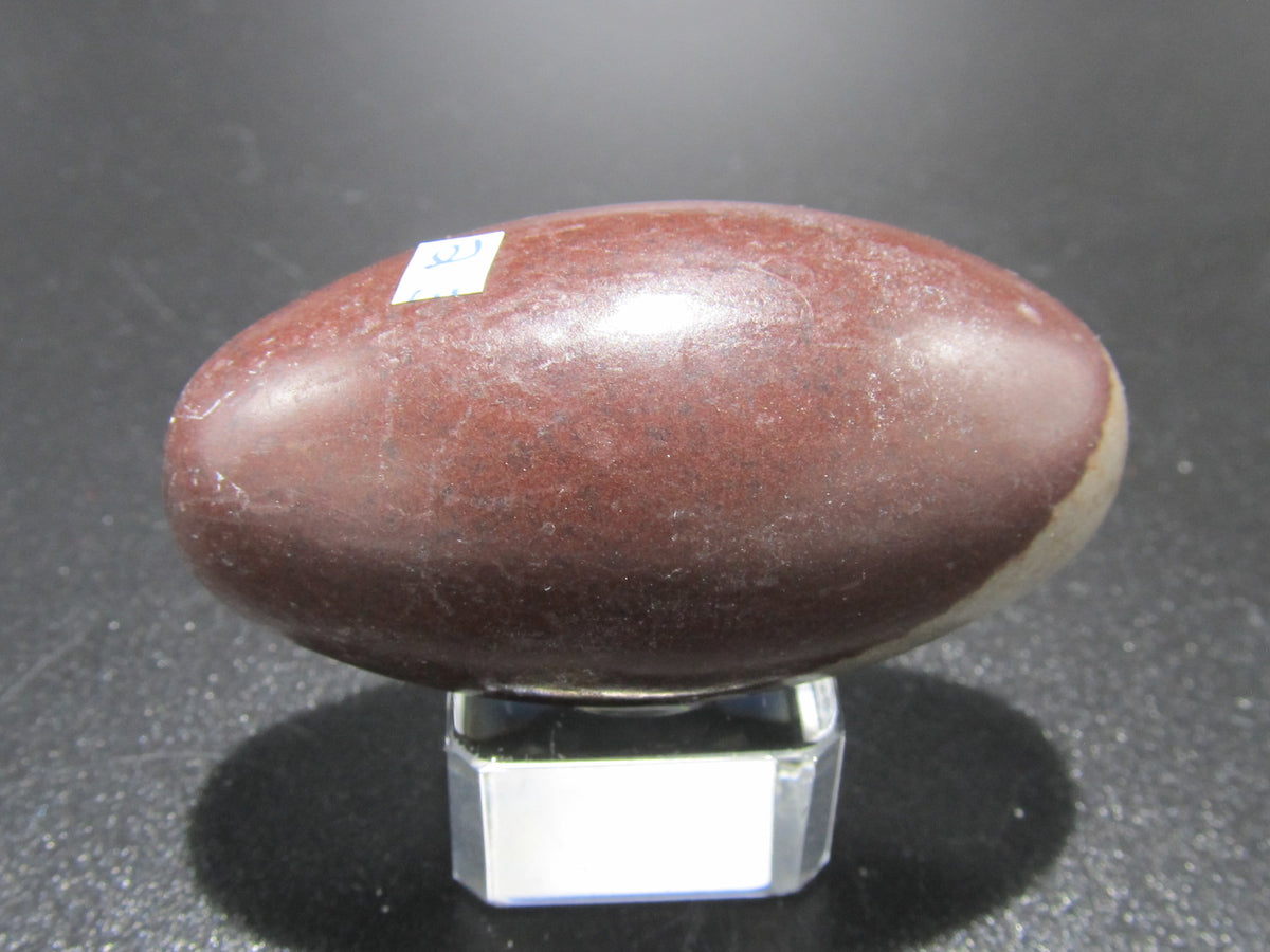 SHIVA LINGAM – Cactus Mineral