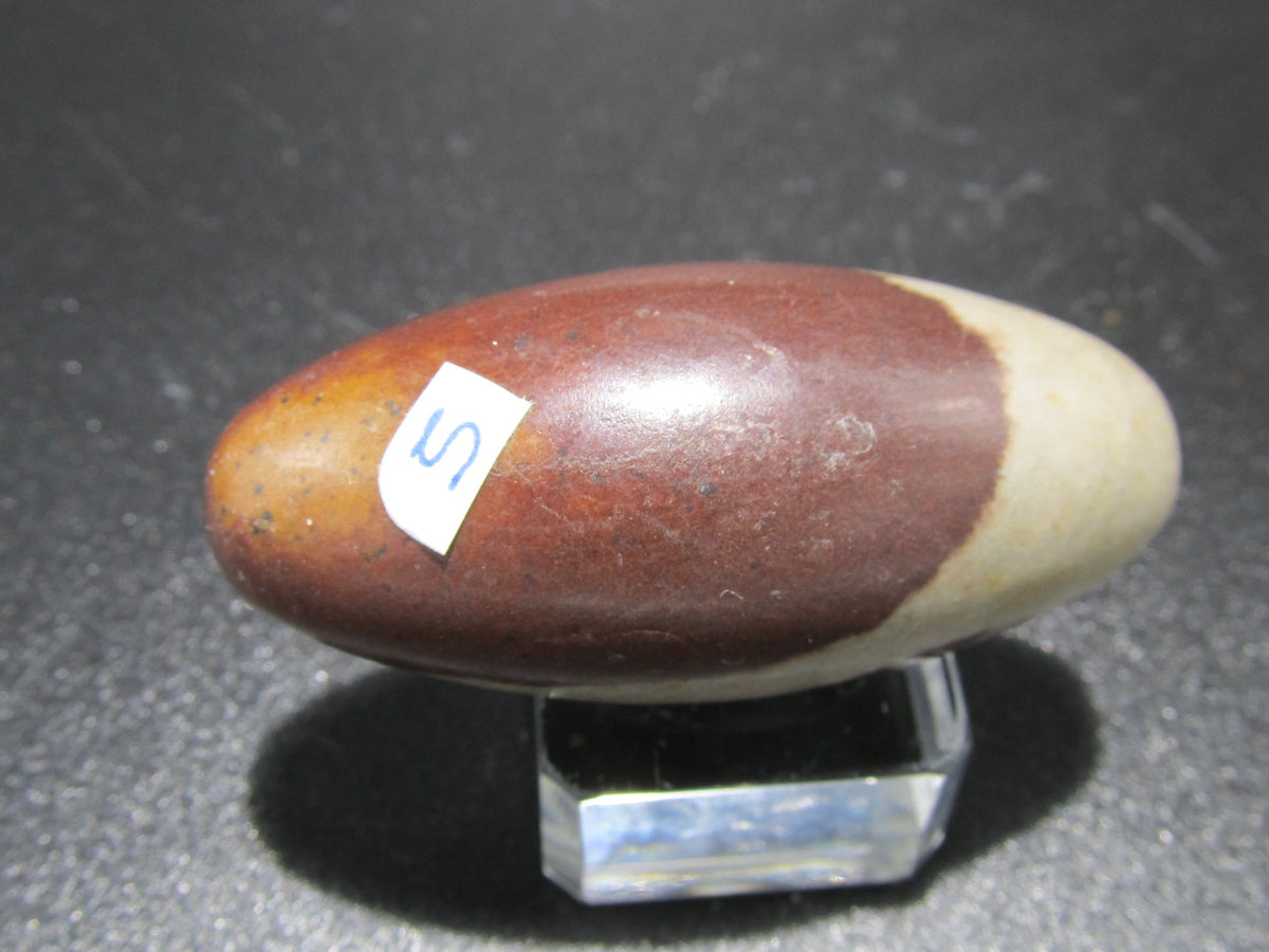 SHIVA LINGAM – Cactus Mineral