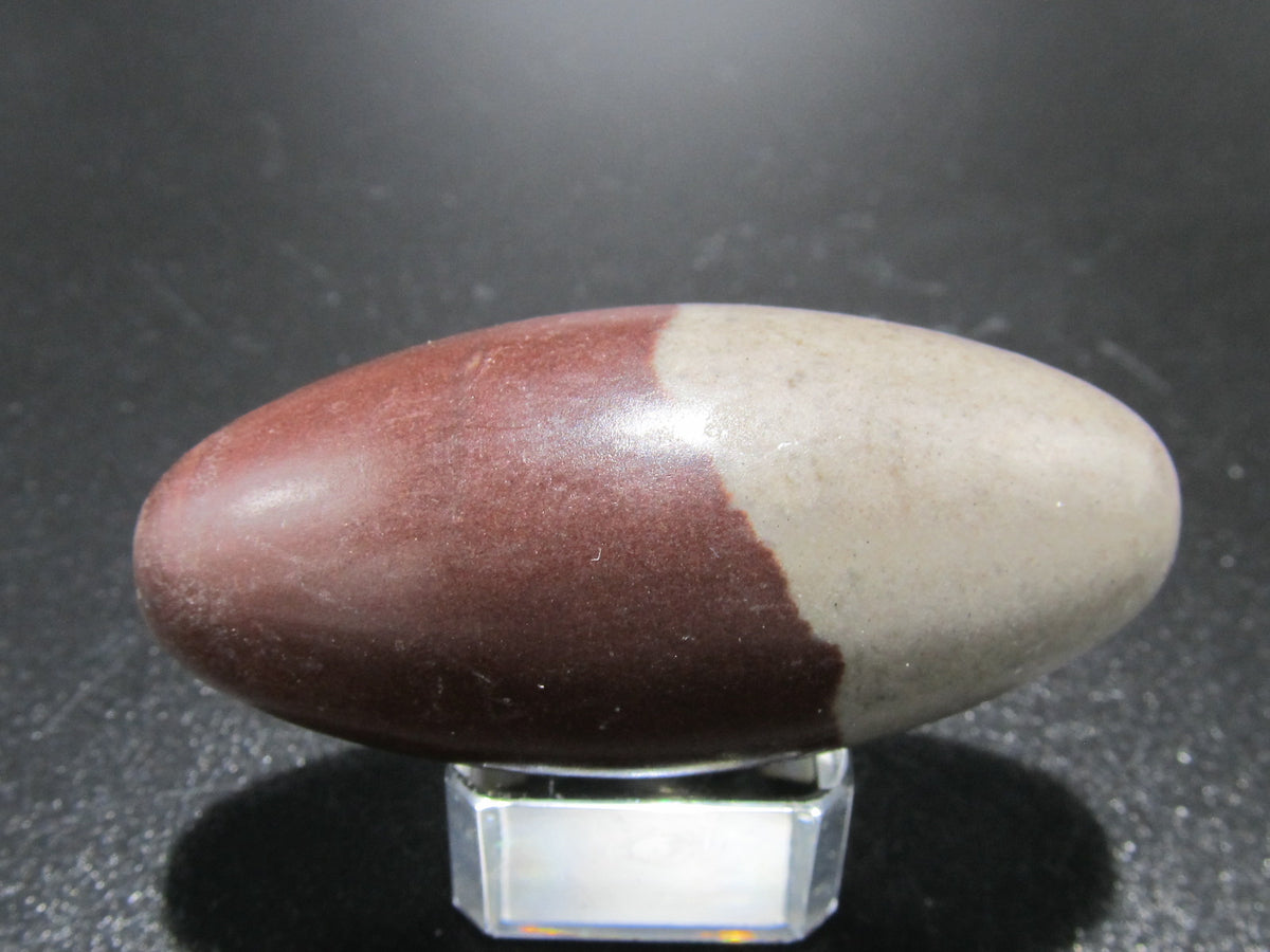 SHIVA LINGAM – Cactus Mineral