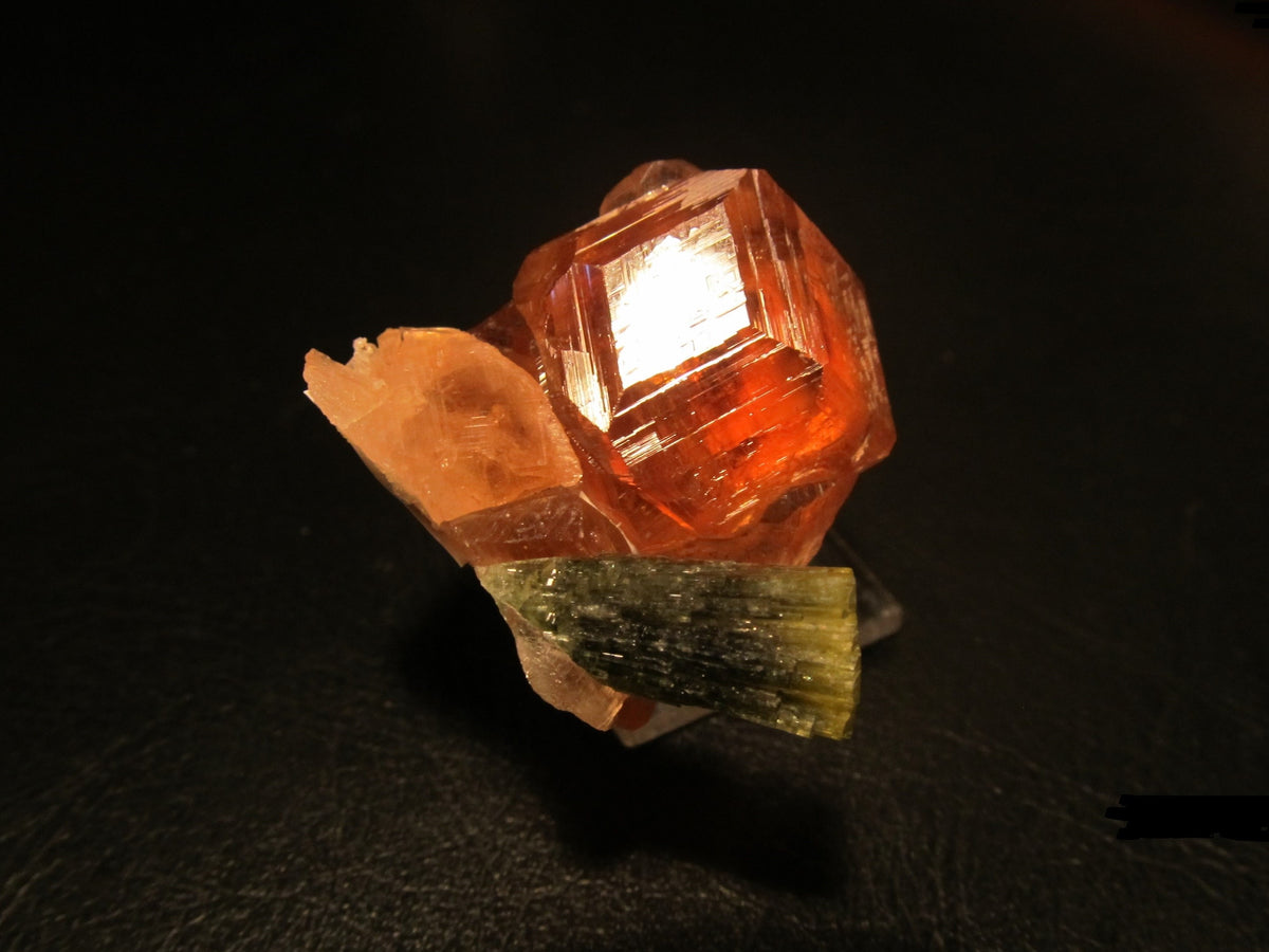 MINÉRAUX DE COLLECTION DU QUÉBEC – Cactus Mineral