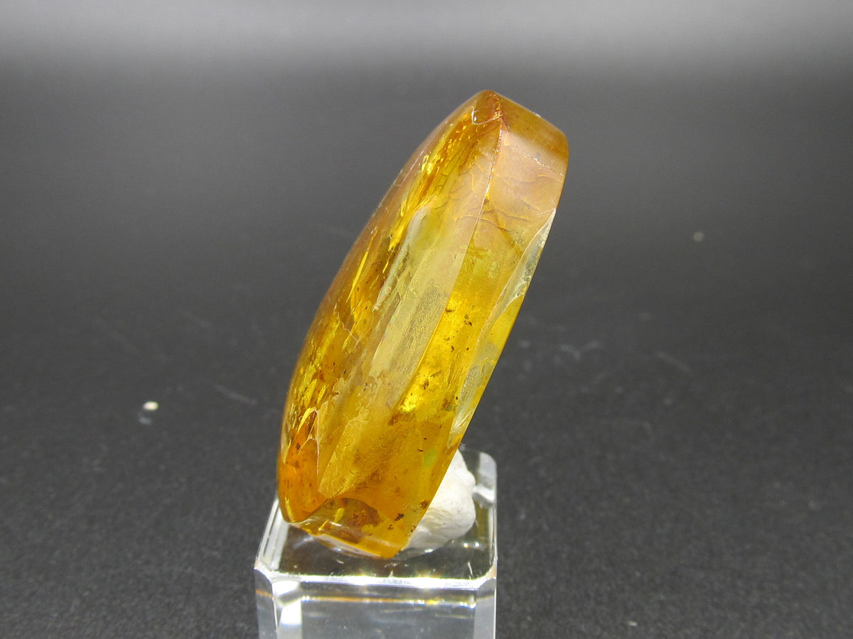 BALTIC AMBER Ukraine – Cactus Mineral