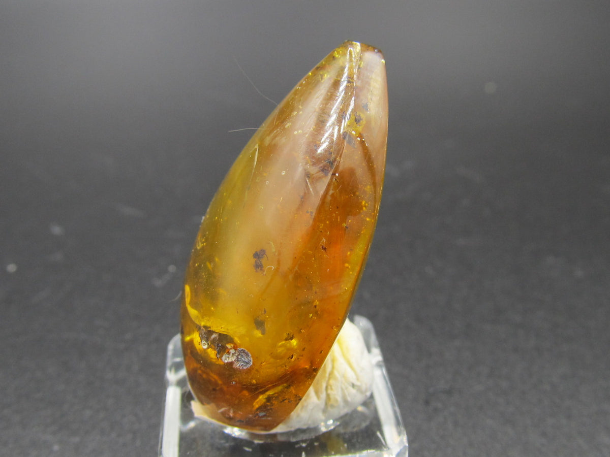 BALTIC AMBER Ukraine – Cactus Mineral
