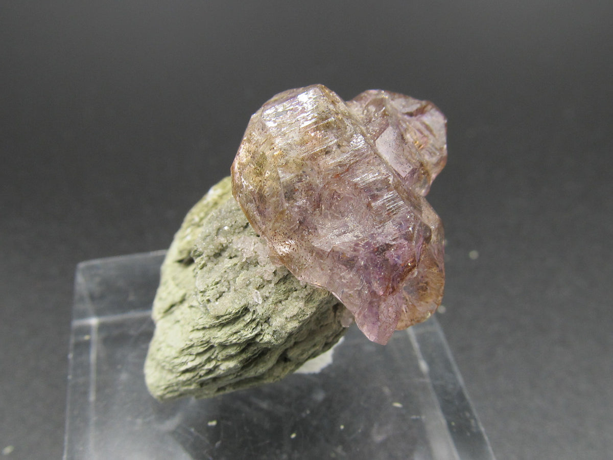 AMETHYST, India – Cactus Mineral